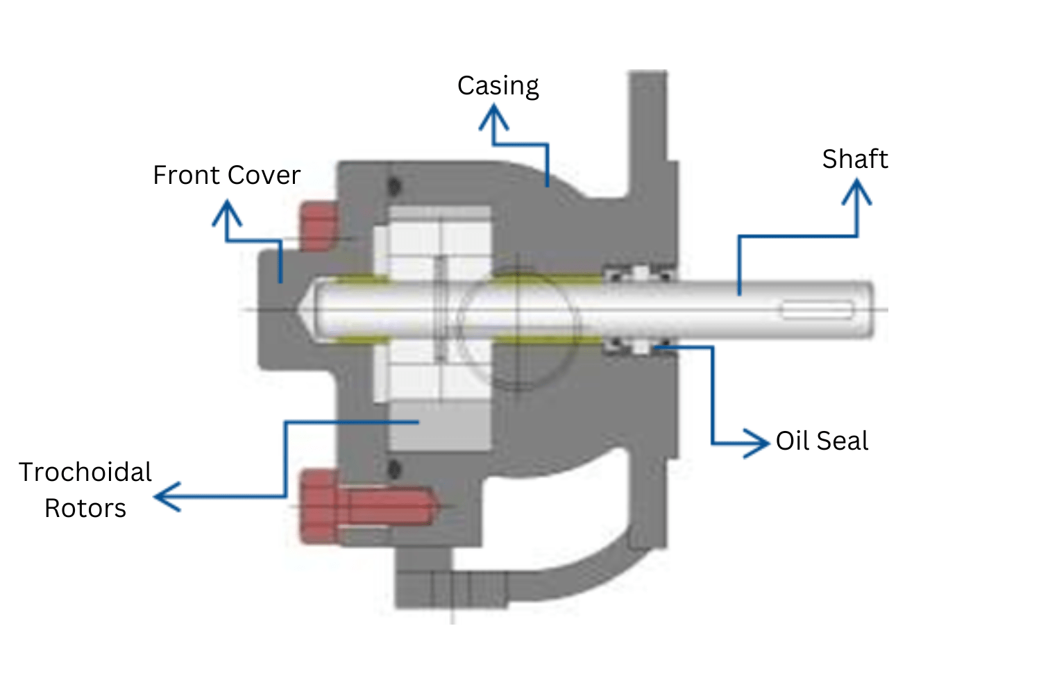 LOBE TROCHOIDAL PUMPS – RT Series – Saviour Pumps